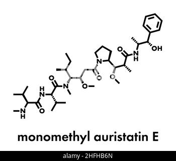 Monomethyl auristatin E (MMAE, vedotin), the cytotoxic payload of ...
