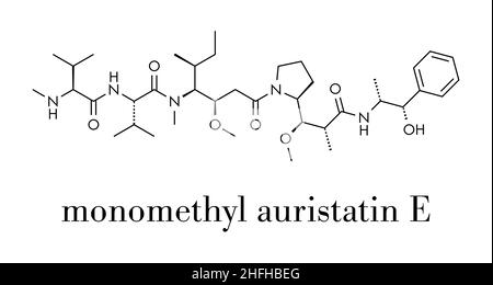 Brentuximab vedotin antibody-drug conjugate molecule. Consists of ...