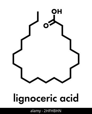 Lignoceric (tetracosanoic) acid molecule. Saturated fatty acid ...
