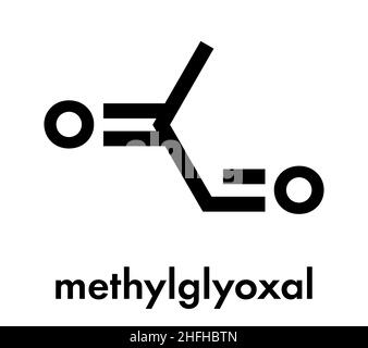 Methylglyoxal (pyruvaldehyde) molecule. Produced by glycolysis; is ...