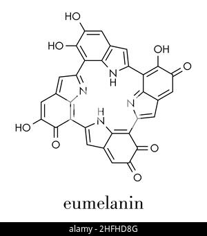 Melanin (eumelanin), proposed oligomeric structure model. Primary ...