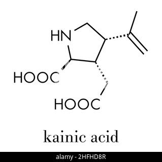Kainic acid molecule. Direct agonist of the glutamic kainate receptors ...