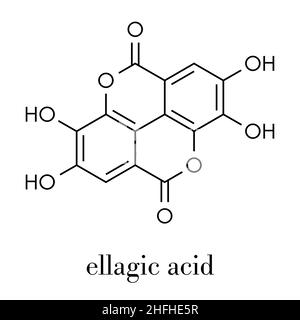 Ellagic acid dietary supplement molecule. Skeletal formula Stock Vector ...