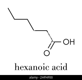 Caproic acid (hexanoic acid) fatty acid molecule. Salts and esters are ...