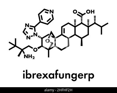 Ibrexafungerp antifungal drug molecule. Skeletal formula Stock Vector ...