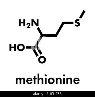 Methionine chemical formula. Methionine chemical molecular structure ...