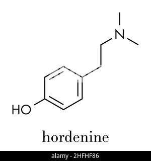 Hordenine (dimethyltyramine) stimulant molecule, chemical structure ...