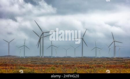 Smola wind turbines farm. The arctic tundra on island Smola, More og ...