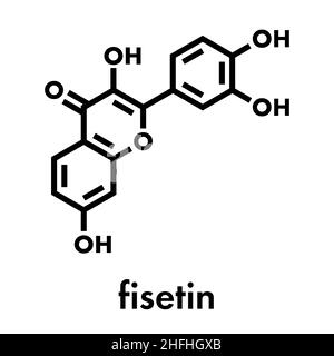 Fisetin plant polyphenol molecule. Skeletal formula Stock Vector Image ...