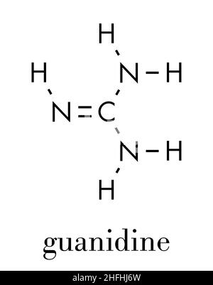 Guanidine molecule. Skeletal formula Stock Vector Image & Art - Alamy