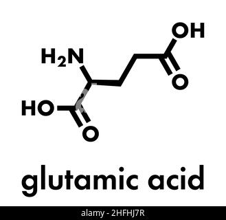 Glutamic acid (l-glutamic acid, Glu, E) amino acid and neurotransmitter ...
