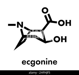 Ecgonine coca alkaloid molecule. Metabolite of cocaine. Skeletal ...