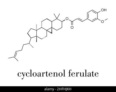 Cycloartenyl ferulate or oryzanol A molecule. Major component of gamma ...