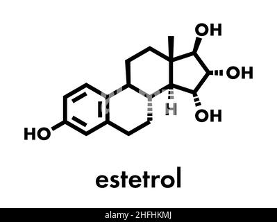 Estetrol natural estrogen hormone molecule. Skeletal formula Stock ...