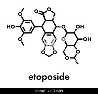 Etoposide cancer chemotherapy drug molecule. Skeletal formula Stock ...