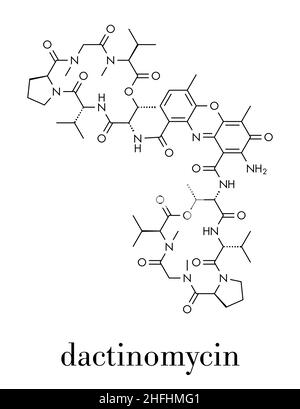 Skeletal formula of Dactinomycin. Drug chemical molecule Stock Vector ...