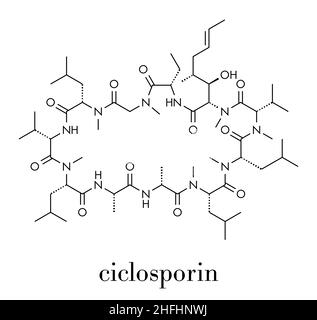Ciclosporin (cyclosporine) immunosuppressant drug molecule. Used to ...