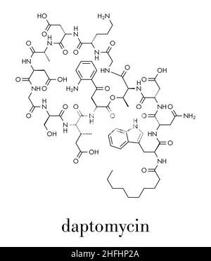 Daptomycin antibiotic drug molecule. Skeletal formula Stock Vector ...