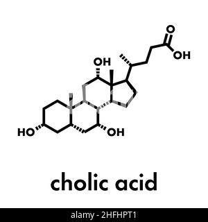 Cholic acid (cholate) molecule. Main bile acid component. Skeletal ...