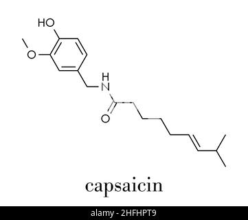 Capsaicin chili pepper molecule. Used in food, drugs, pepper spray, etc ...