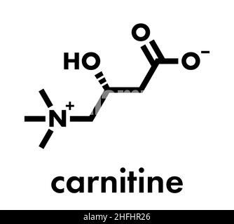 Carnitine food supplement molecule, chemical structure Skeletal formula ...