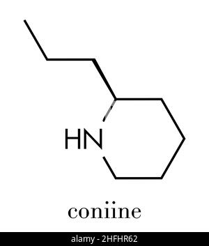 Skeletal formula of Coniine. chemical molecule Stock Vector Image & Art ...