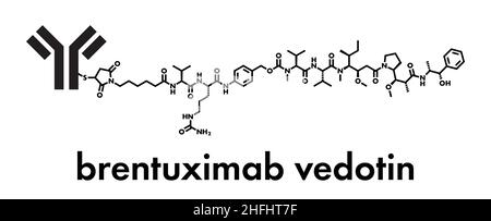 Brentuximab vedotin antibody-drug conjugate molecule. Consists of ...