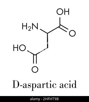 Aspartic acid molecular structure. Aspartate skeletal chemical formula ...