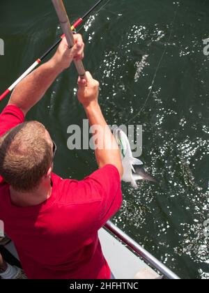 Reeling in Charter fishing boat Stock Photo - Alamy