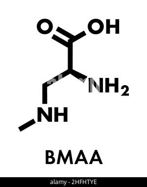 beta-Methylamino-L-alanine (BMAA) toxic amino acid molecule. Produced ...