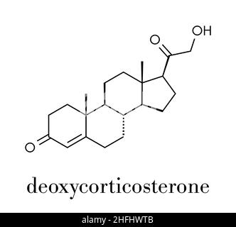 Deoxycorticosterone (DOC) mineralocorticoid hormone molecule. Precursor ...