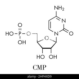 Cytidine RNA building block molecule. Skeletal formula Stock Vector ...