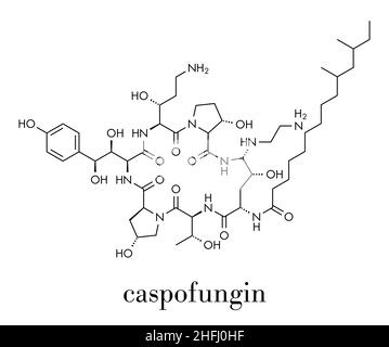 Caspofungin antifungal drug molecule. Skeletal formula Stock Vector ...