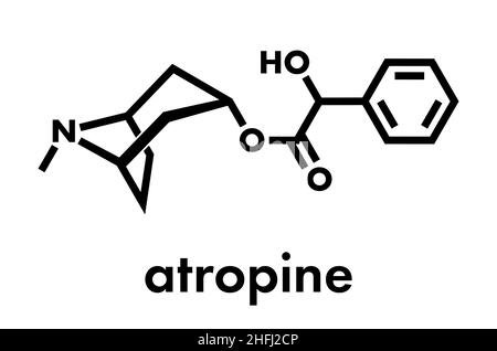 Skeletal formula of Atropine. chemical molecule Stock Vector Image ...