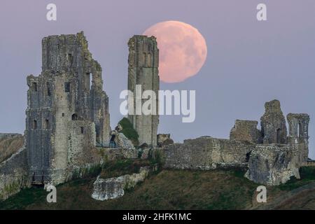 Corfe Castle, Dorset, UK. 17th January 2022. UK Weather. The full Wolf ...