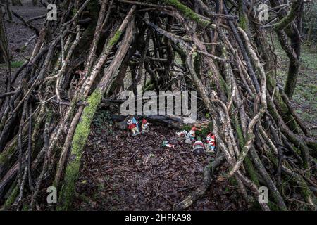 Small garden gnomes inside a rough shelter built with cut tree branches ...
