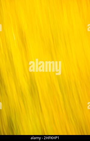 Moving color patterns Stock Photo - Alamy