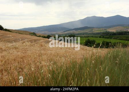 The great nice Tuscan countryside in Italy. Fresh green fields and meadows everywhere Stock ...