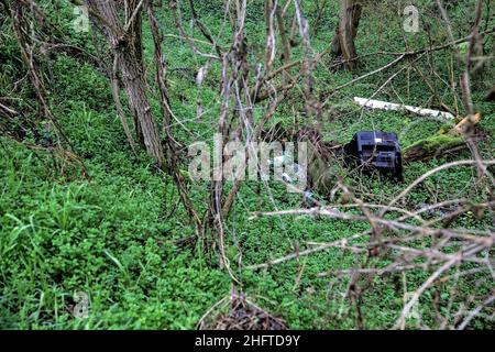 TV set dumped in a grove Stock Photo - Alamy