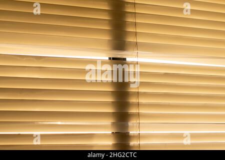 Living in lock down due to pandemic reasons, home from inside, spying ...