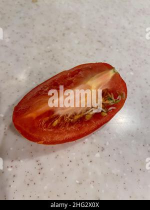 Tomato seeds sprouting inside a ripe tomato Stock Photo - Alamy