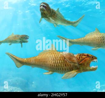 Dunkleosteus prehistoric fish, illustration Stock Photo - Alamy