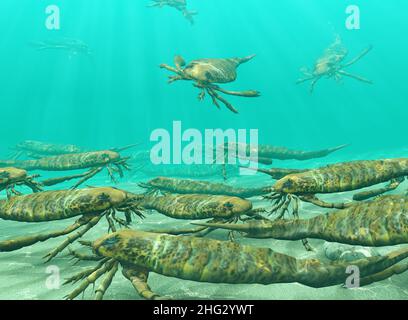 Illustration of Eurypterus remipes, a eurypterid or sea scorpion from ...