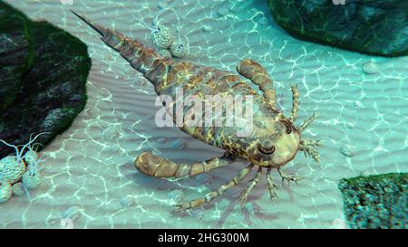 Illustration of Eurypterus remipes, a eurypterid or sea scorpion from ...