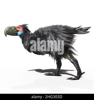 Gastornis giganteus, Flightless Bird Stock Photo - Alamy