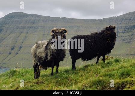 Faroe Islands, September 2021 Stock Photo - Alamy