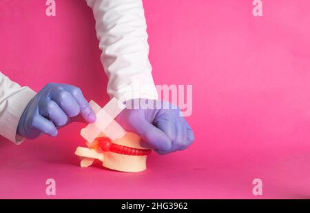 The doctor's hands are gluing a medical plaster on the released nucleus ...