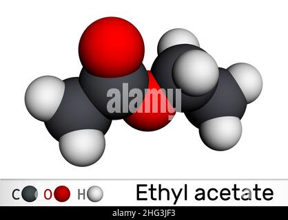 Ethyl ethanoate, molecular model. The molecular formula of this organic ...