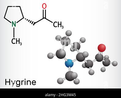 Hygrine pyrrolidine alkaloid molecule. It is found in the coca plant ...