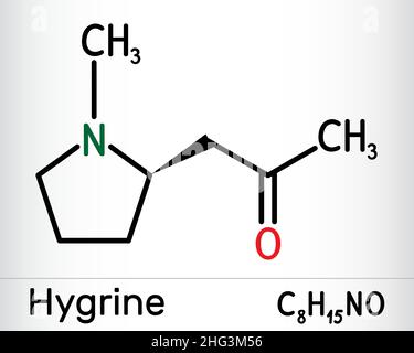 Hygrine pyrrolidine alkaloid molecule. It is found in the coca plant ...